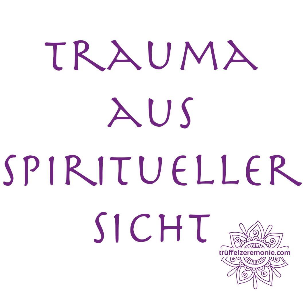 Der spirituelle Blick auf das Trauma | Truffelceremonie.com